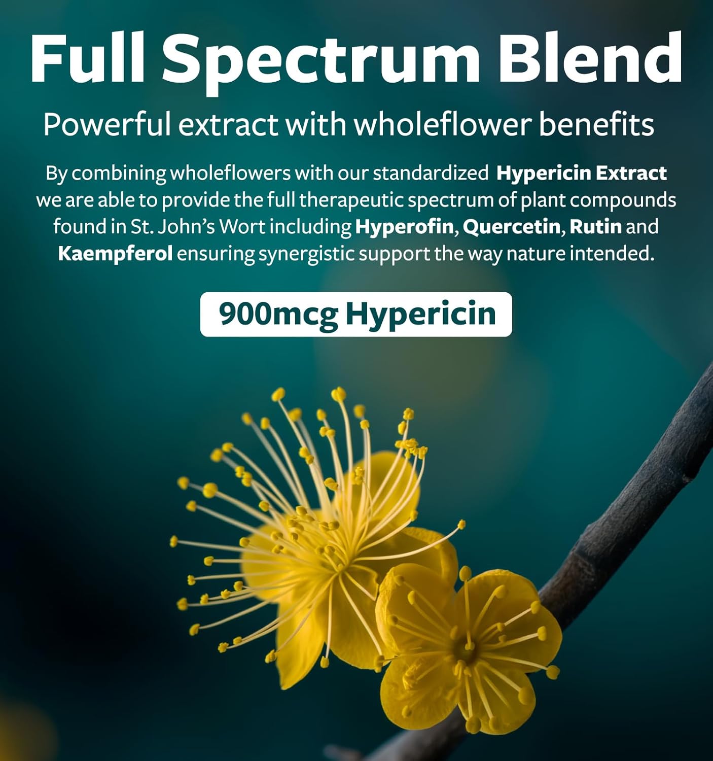 Pure St John’s Wort Extract Hypericin – BRIO ESSENTIALS